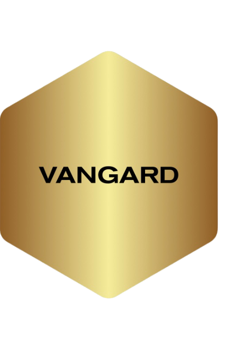 Vangard Strategies | UK Business Consultancy